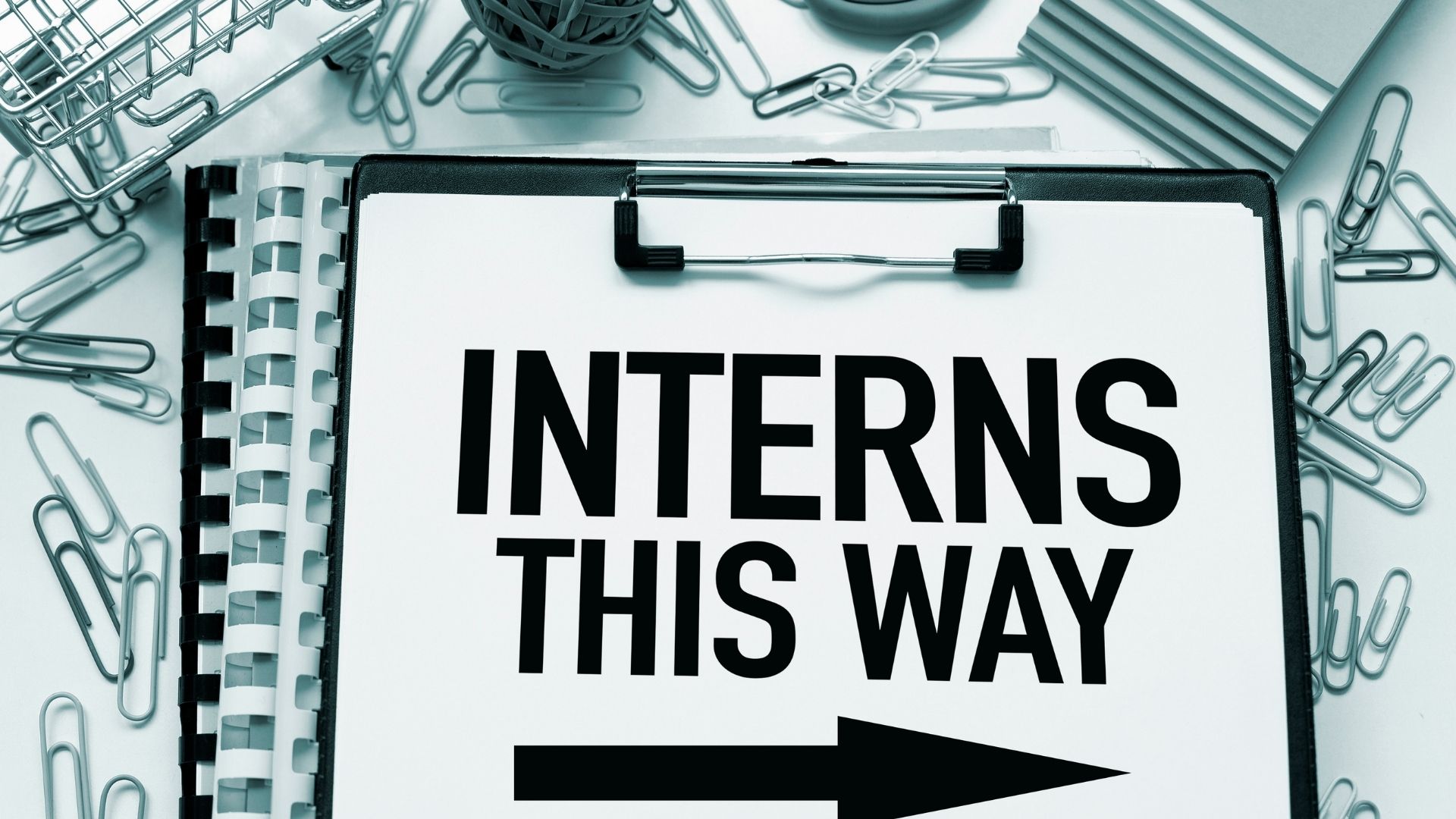 Best Websites to Find an Internship - MySphere