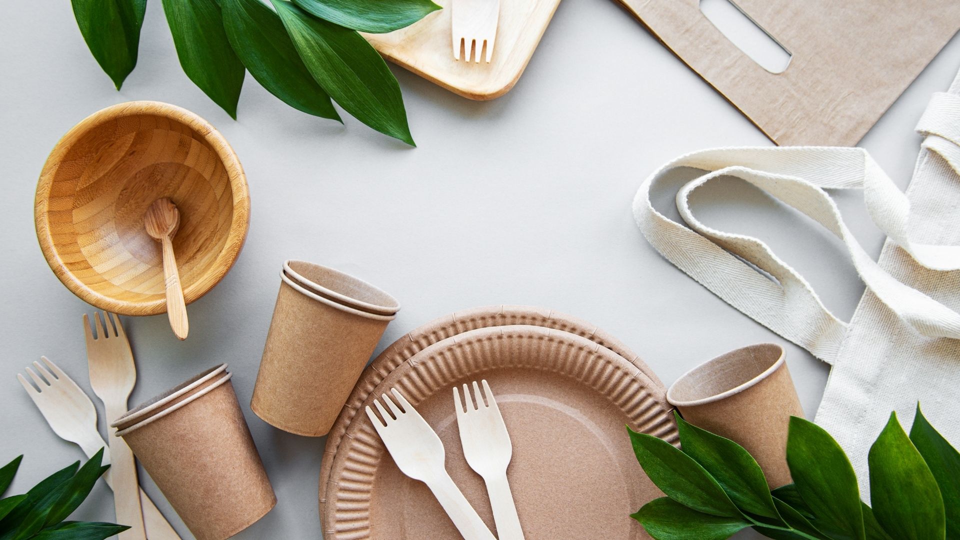 Tasty and sustainable alternative to plastic disposables - MySphere