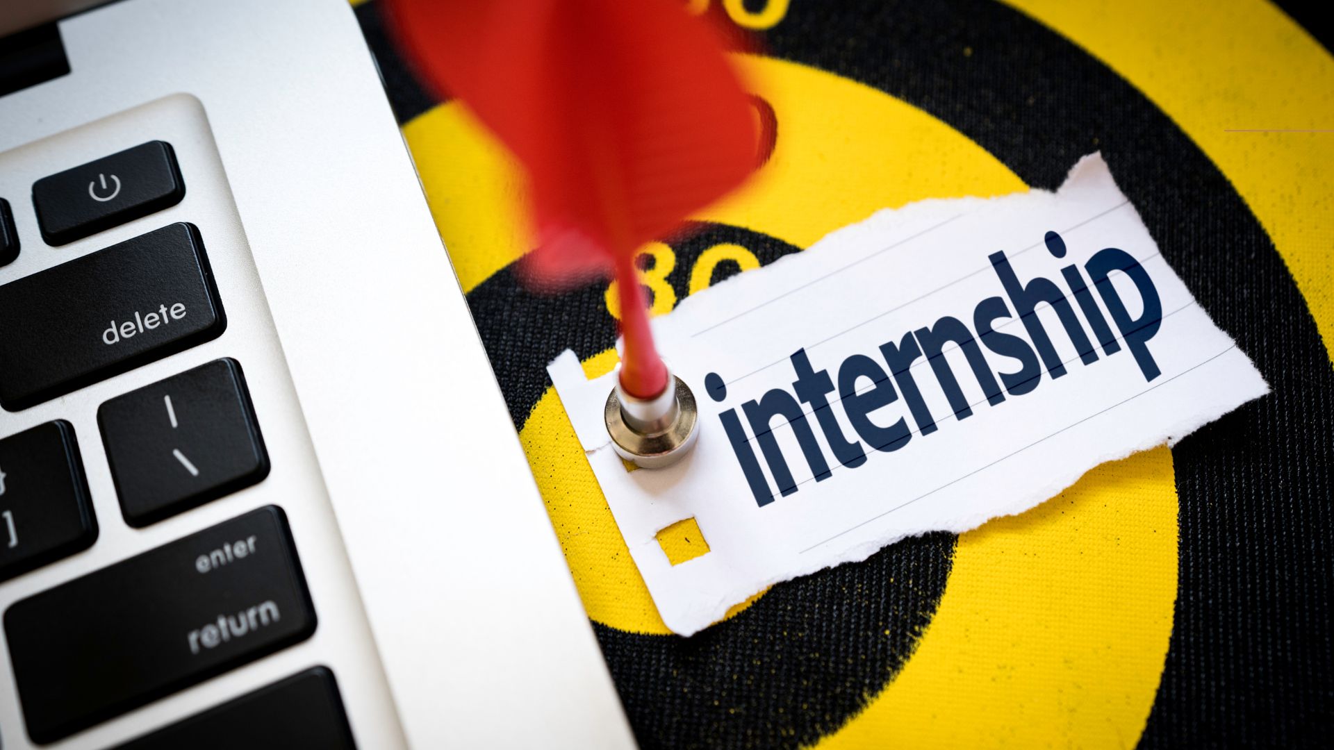 How to make a student portfolio for an Internship? - MySphere