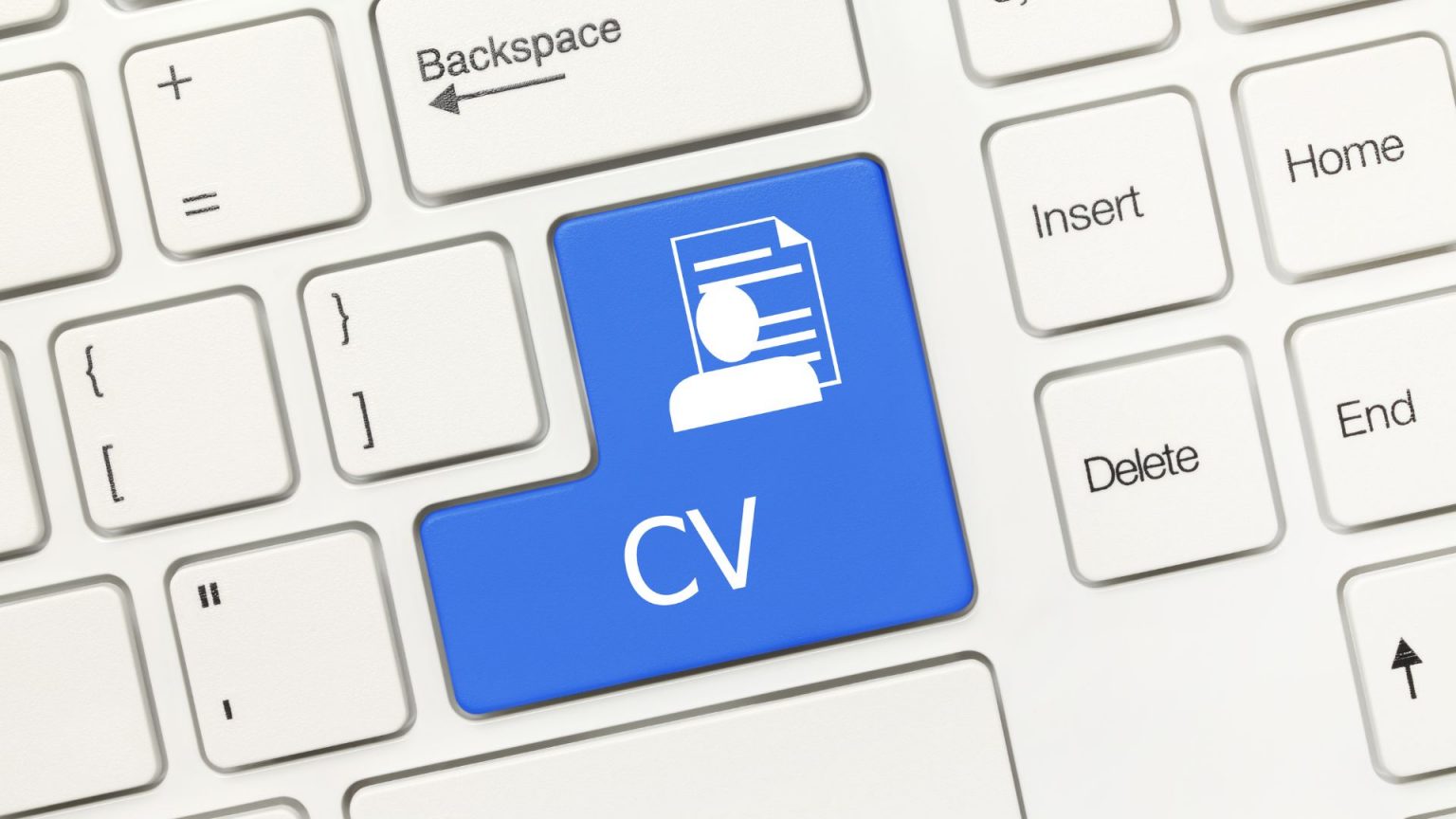 How to create a dynamic CV on Mysphere - MySphere